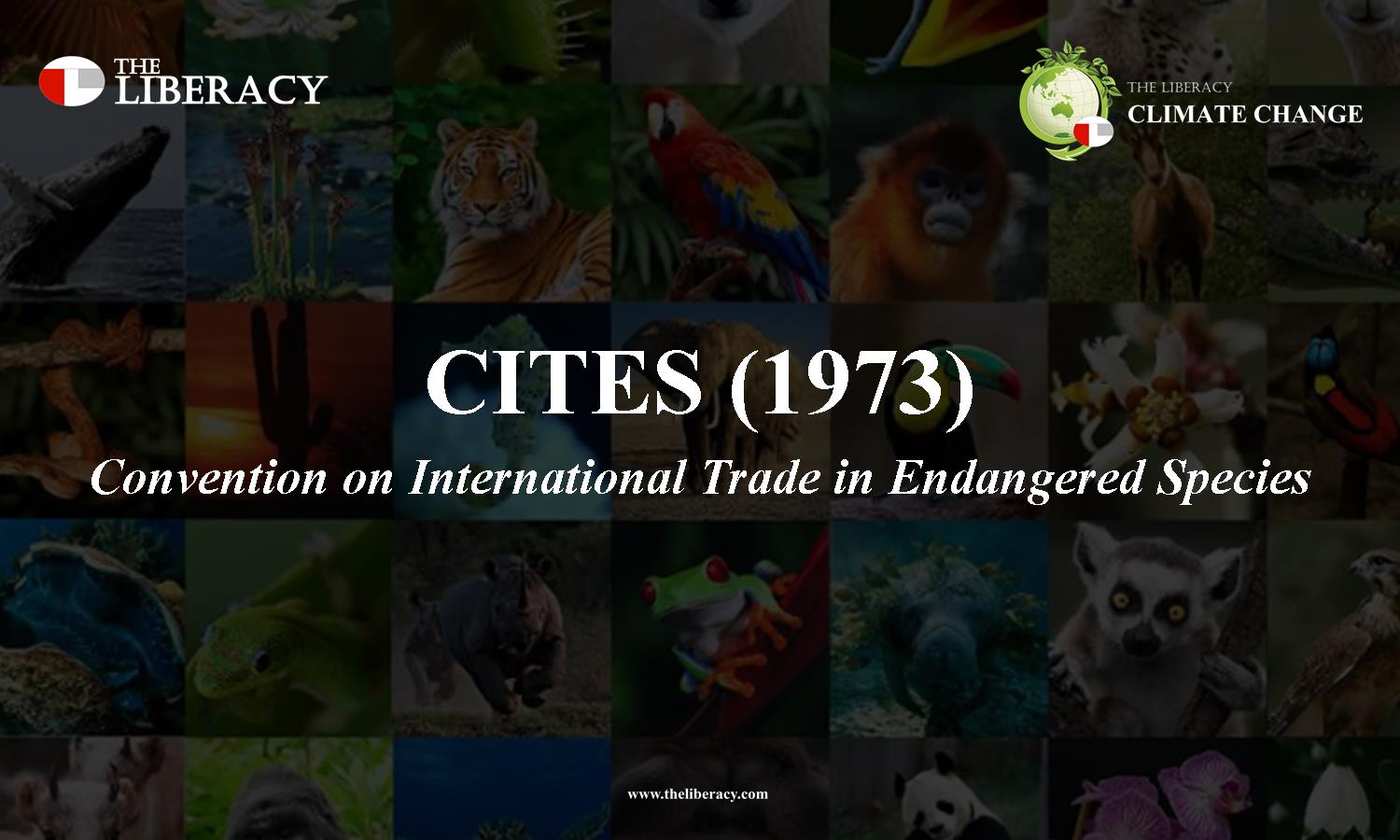 CITES